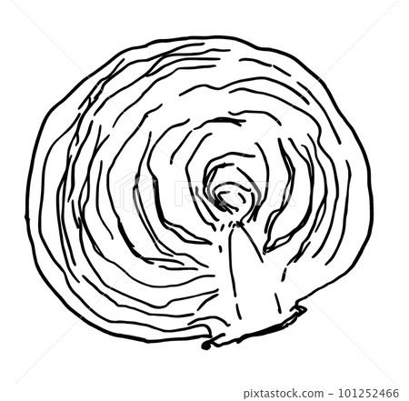 Cabbage line drawing monochrome simple... - Stock Illustration ...