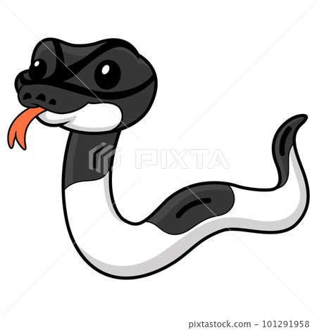 Ball Python Clipart