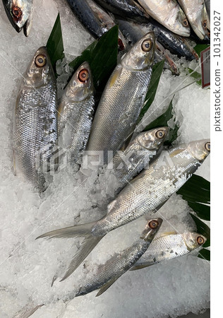 fresh fishery product milkfish or Chanos chanos... - Stock Photo ...