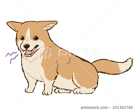 Mad Corgi