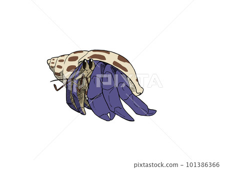 Hermit crab in elephant 1 - Stock Illustration [101386366] - PIXTA