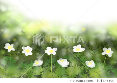 single grass flower card 1 - Stock Illustration [101485390] - PIXTA