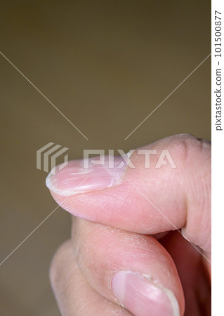 Corrugated nail (washboard nail) - Stock Photo [101500877] - PIXTA