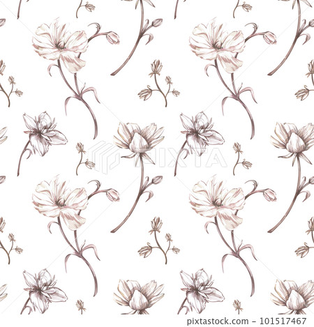 Seamless pattern ranunculus isolated on white... - Stock Illustration ...