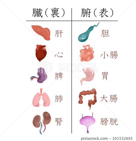 An illustration showing the relationship... - Stock Illustration ...