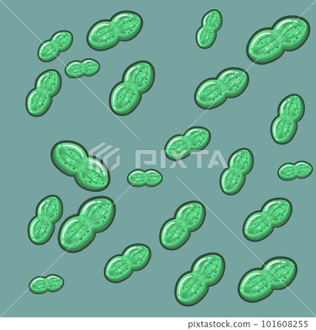 Cyanobacteria: Synechococcus vector - Stock Illustration [101608255 ...