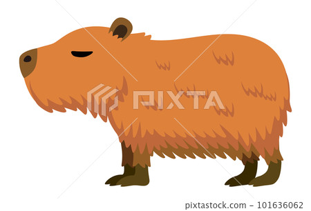 Illustration of a simple capybara without a... - Stock Illustration ...