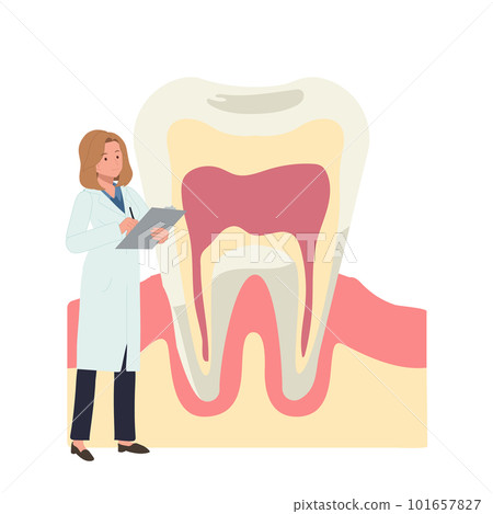 Dental medical , teeth check up concept. female... - Stock Illustration ...
