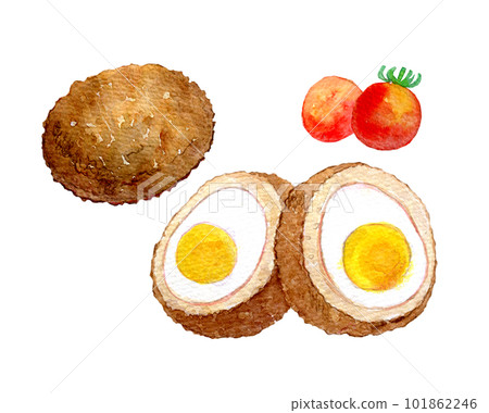 Scotch egg watercolor illustration hand-drawn... - Stock Illustration ...