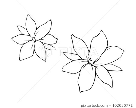 Line drawing illustration of a simple... - Stock Illustration ...