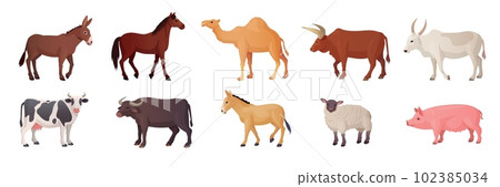Farm draft animals. Breeds animal asian or... - Stock Illustration ...