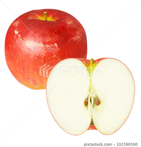 Real touch apple illustration - Stock Illustration [102390500] - PIXTA
