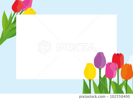 Colorful tulip design frame background material - Stock Illustration ...