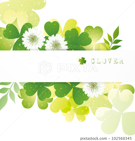 White clover flowers and clover - Stock Illustration [102568345] - PIXTA
