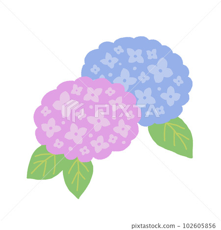 Simple illustration of hydrangea - Stock Illustration [102605856] - PIXTA