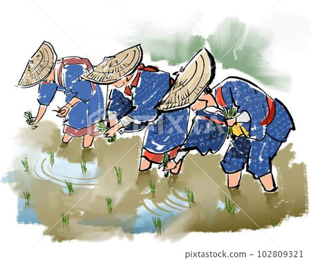 Rice planting - Stock Illustration [102809321] - PIXTA