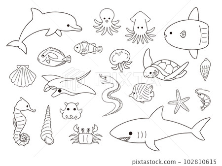 Vector line drawing illustration of sea... - Stock Illustration ...