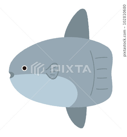 Vector illustration of sunfish - Stock Illustration [102810680] - PIXTA