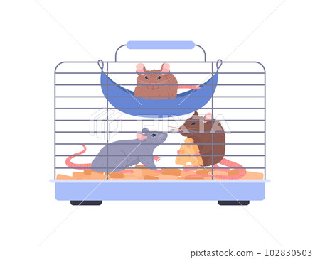 Rats in cage characters flat vector... - Stock Illustration [102830503 ...