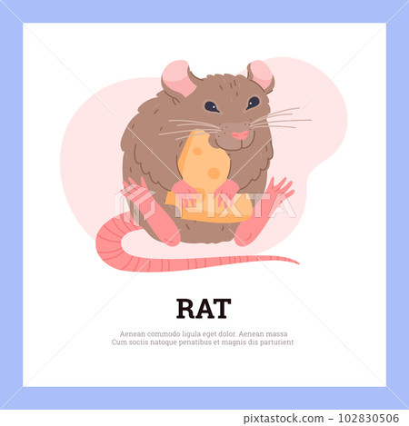 Funny rat with cheese, poster template - flat... - Stock Illustration ...