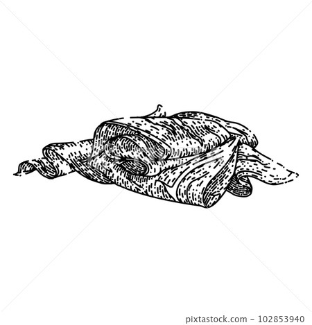spanish ham meat sketch hand drawn vector-插圖素材 [102853940] - PIXTA圖庫