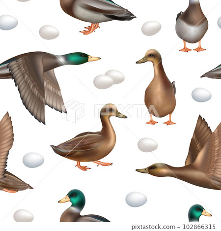 Ducks pattern. Seamless background with wild... - Stock Illustration ...