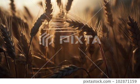 The growth of nature's harvest. Natural product... - Stock Illustration ...