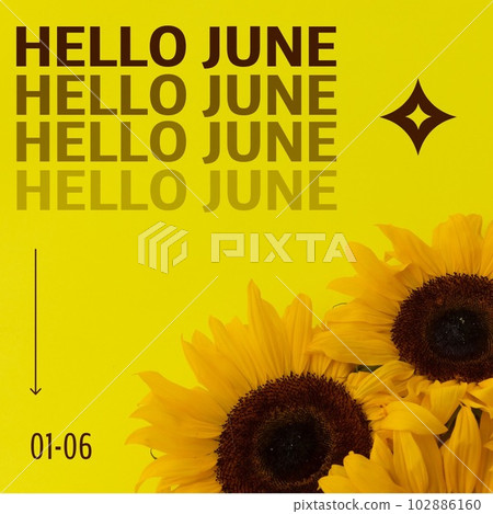 Composition of hello june text and sunflowers... - Stock Illustration ...