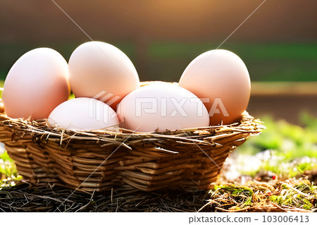 grass, egg, basket - Stock Illustration [103006413] - PIXTA