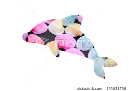 Dolphins and shells - Stock Illustration [103051766] - PIXTA