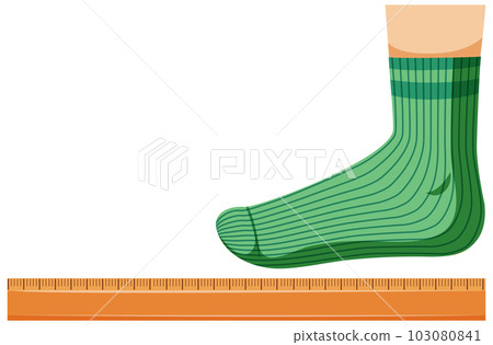 Measuring foot size vector - Stock Illustration [103080841] - PIXTA