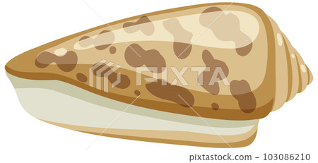Isolated shell rocky shore - Stock Illustration [103086210] - PIXTA