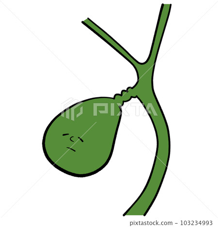 Illustration of an unhealthy gallbladder - Stock Illustration ...