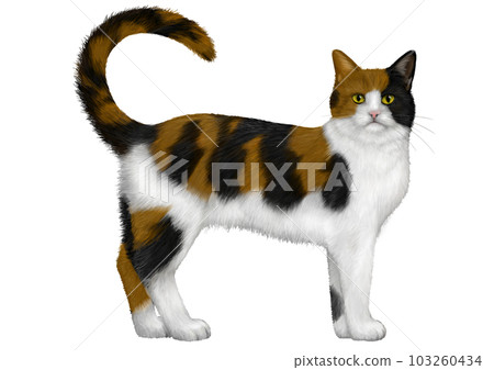 Illustration of a mike cat - Stock Illustration [103260434] - PIXTA