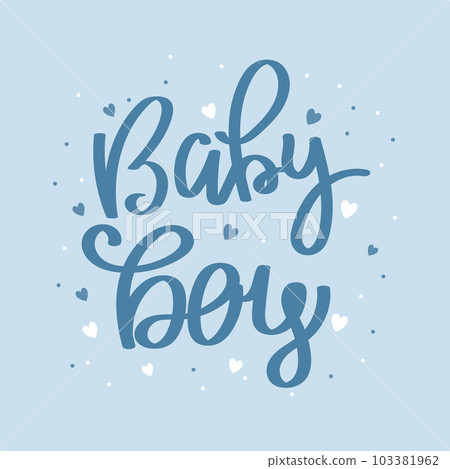 Baby Boy Calligraphy Fonts Baby Boy Hand Lettering Stock Vector