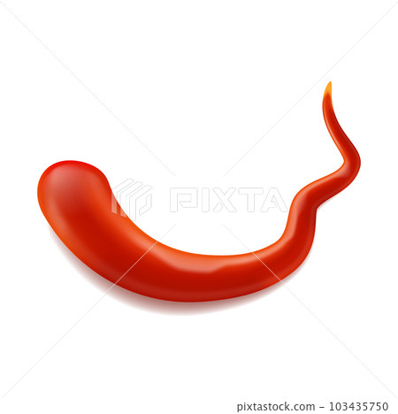 Curve tomato sauce stain or splash. Isolated...-插圖素材 [103435750] - PIXTA圖庫