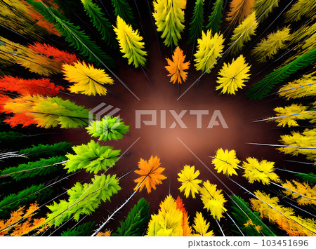 Autumn forest with high contrast realistic colors. - Stock Illustration ...