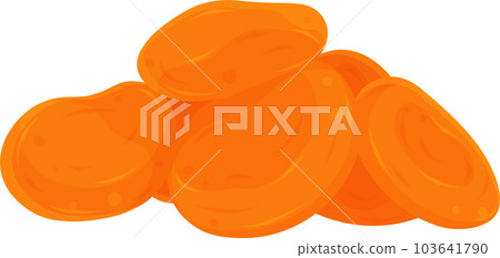 color vector illustration of dried apricots,... - Stock Illustration ...
