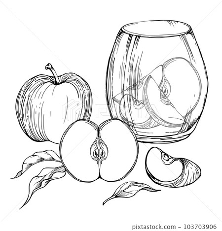 Hand drawn ink composition with apple fruits on... - Stock Illustration ...