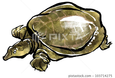 Suppon的插畫（毛筆字）-插圖素材 [103714275] - PIXTA圖庫