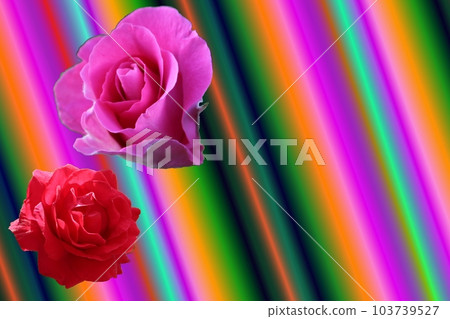 A red rose swaying in the wind - Stock Illustration [103739527] - PIXTA