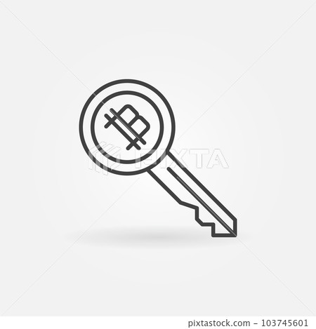 Bitcoin key concept vector icon or symbol - Stock Illustration ...