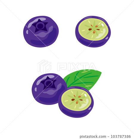Blueberry And Cross Section Fruit Cross Section Set Stock