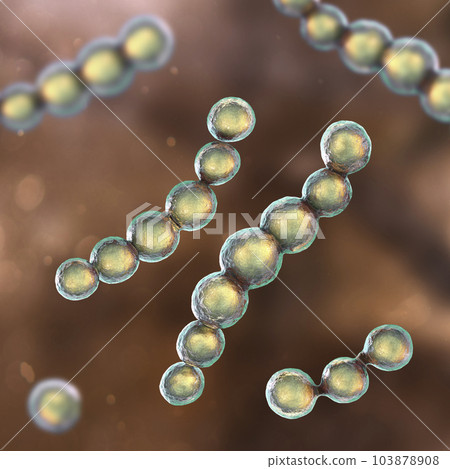 Microscopic Pathogenic Fungi
