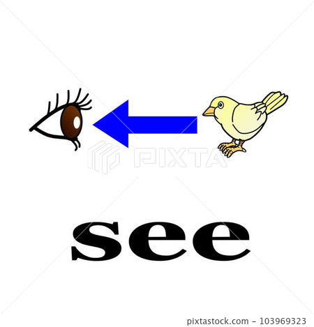 Conceptual illustration of the English word see - Stock Illustration ...