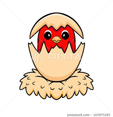 Cute red suffusion lovebird cartoon inside from... - Stock Illustration ...