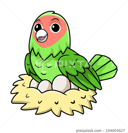 Cute peach faced love bird cartoon with eggs in... - Stock Illustration ...