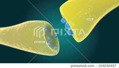 Selective serotonin reuptake inhibitors (SSRIs)... - Stock Illustration ...