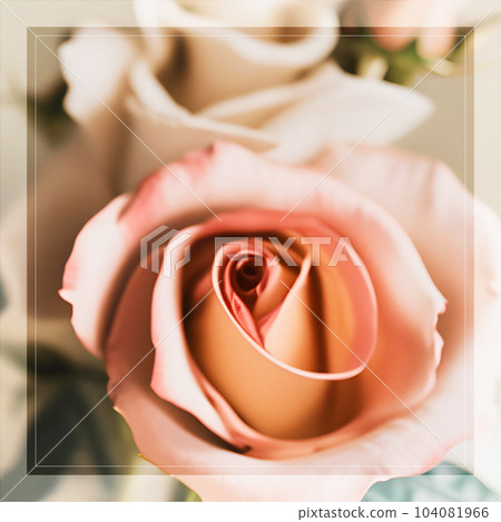 Rose illustration with frame - Stock Illustration [104081966] - PIXTA