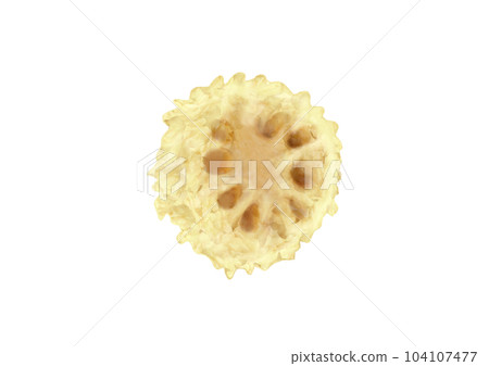 Lotus root tempura realistic illustration - Stock Illustration ...